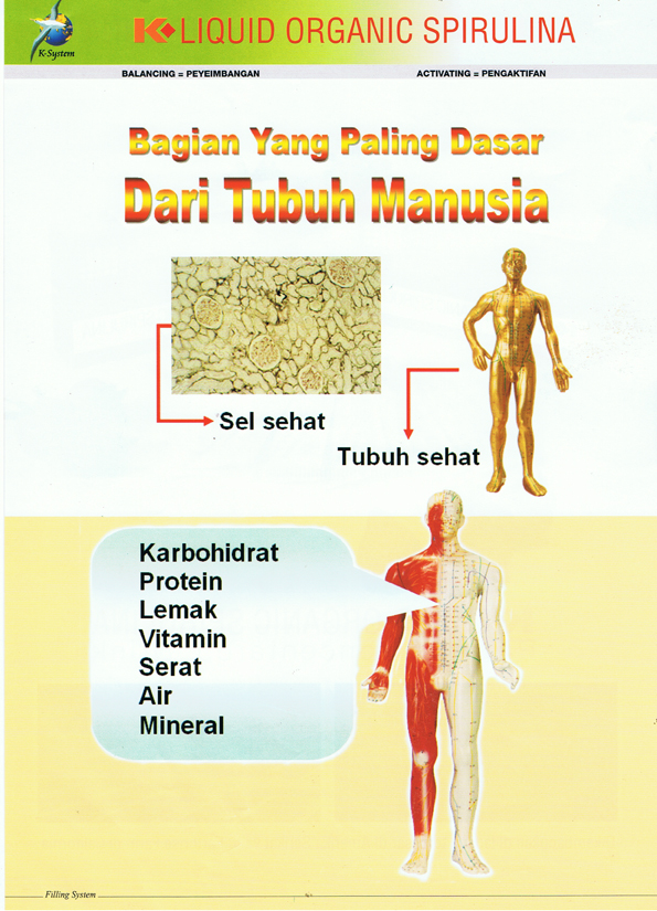 K Link by Winfo: Penjelasan Produk