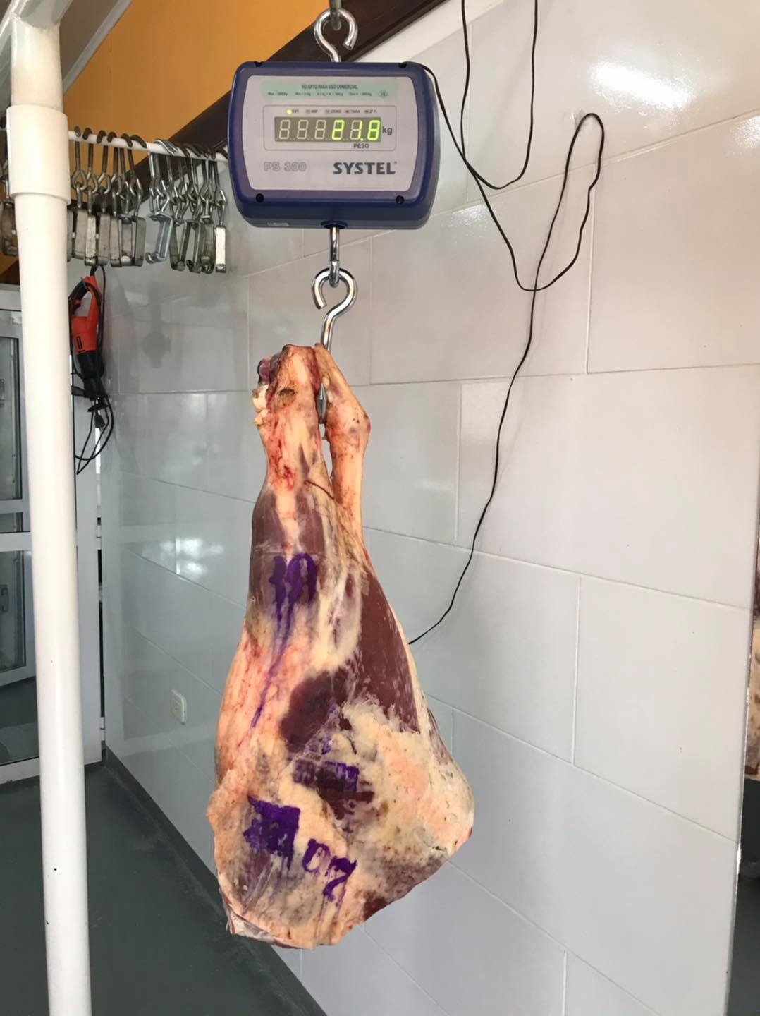 Cortes de vaca en argentina. Los Cortes oficiales.