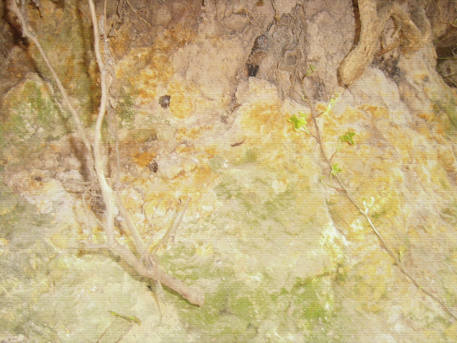 The Buckley Pottery: Buckley Clay