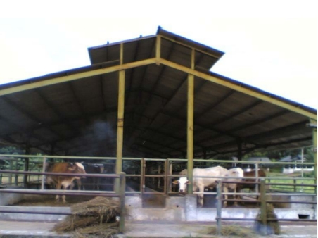 Peternakan: Bagian-bagian kandang dan fungsinya