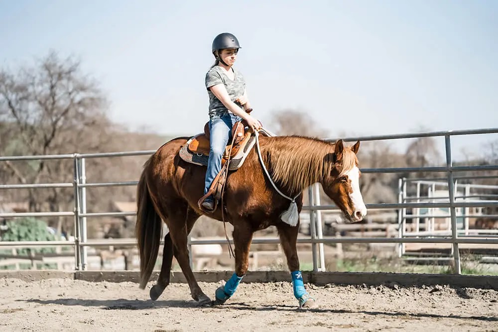 Comment monter à cheval : Le guide complet pour débutants
