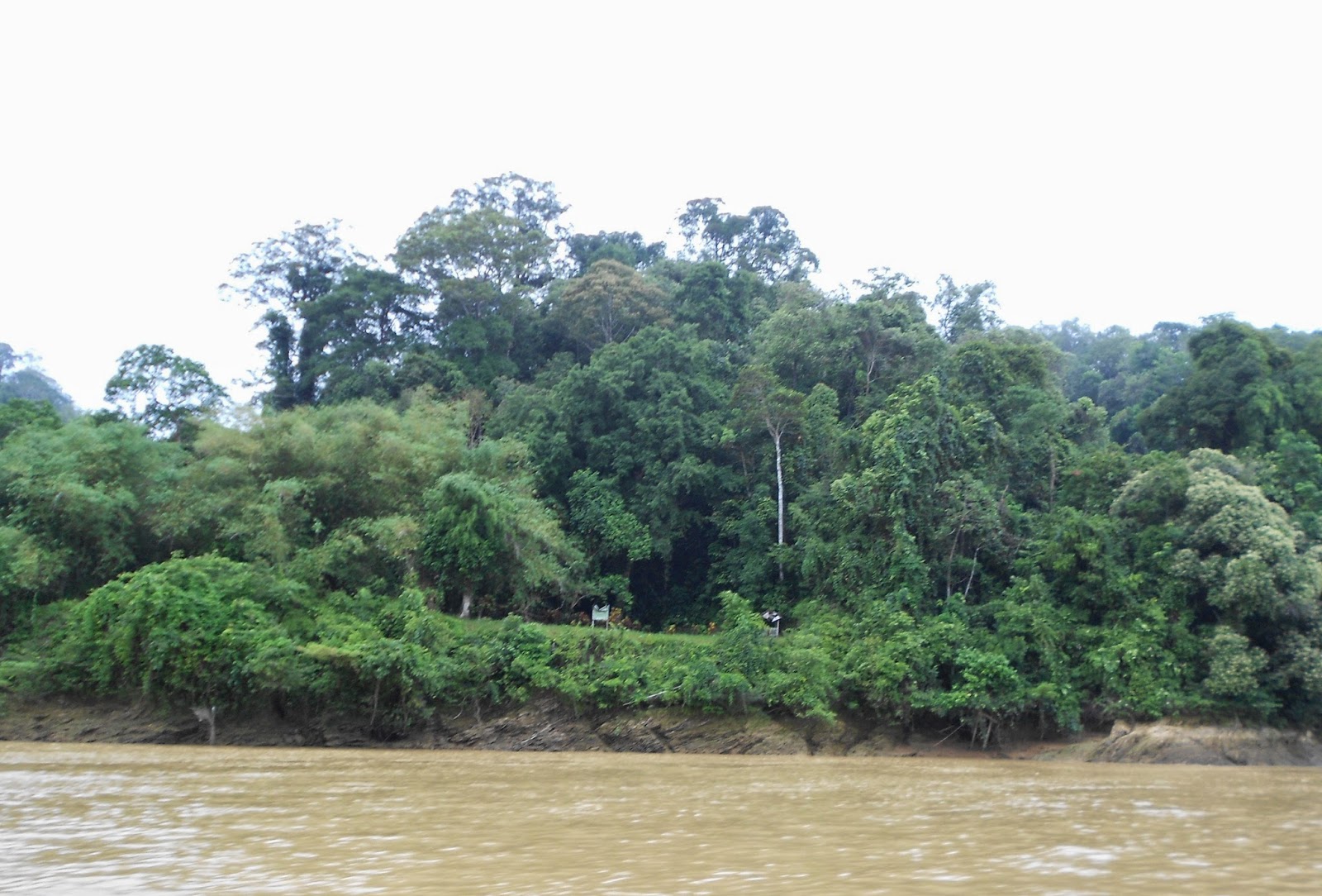FREELITTLEBRAIN: The Legend of Rajang River