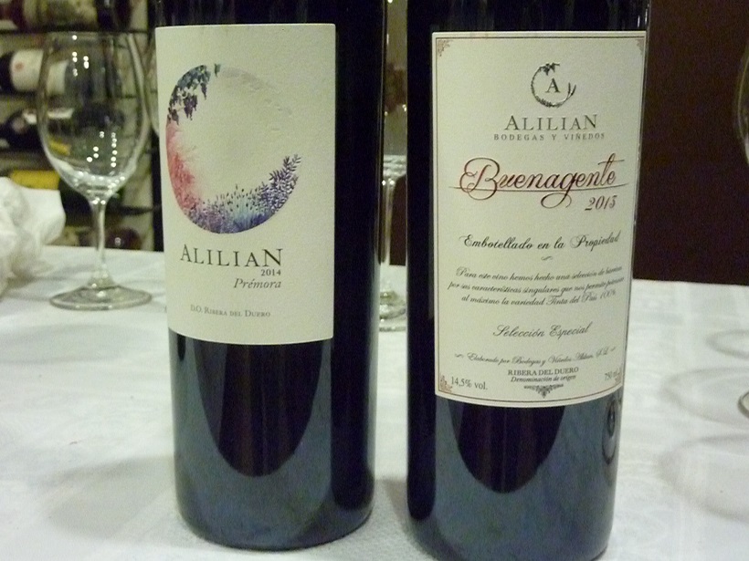 Alilian. Tasting with Cote García