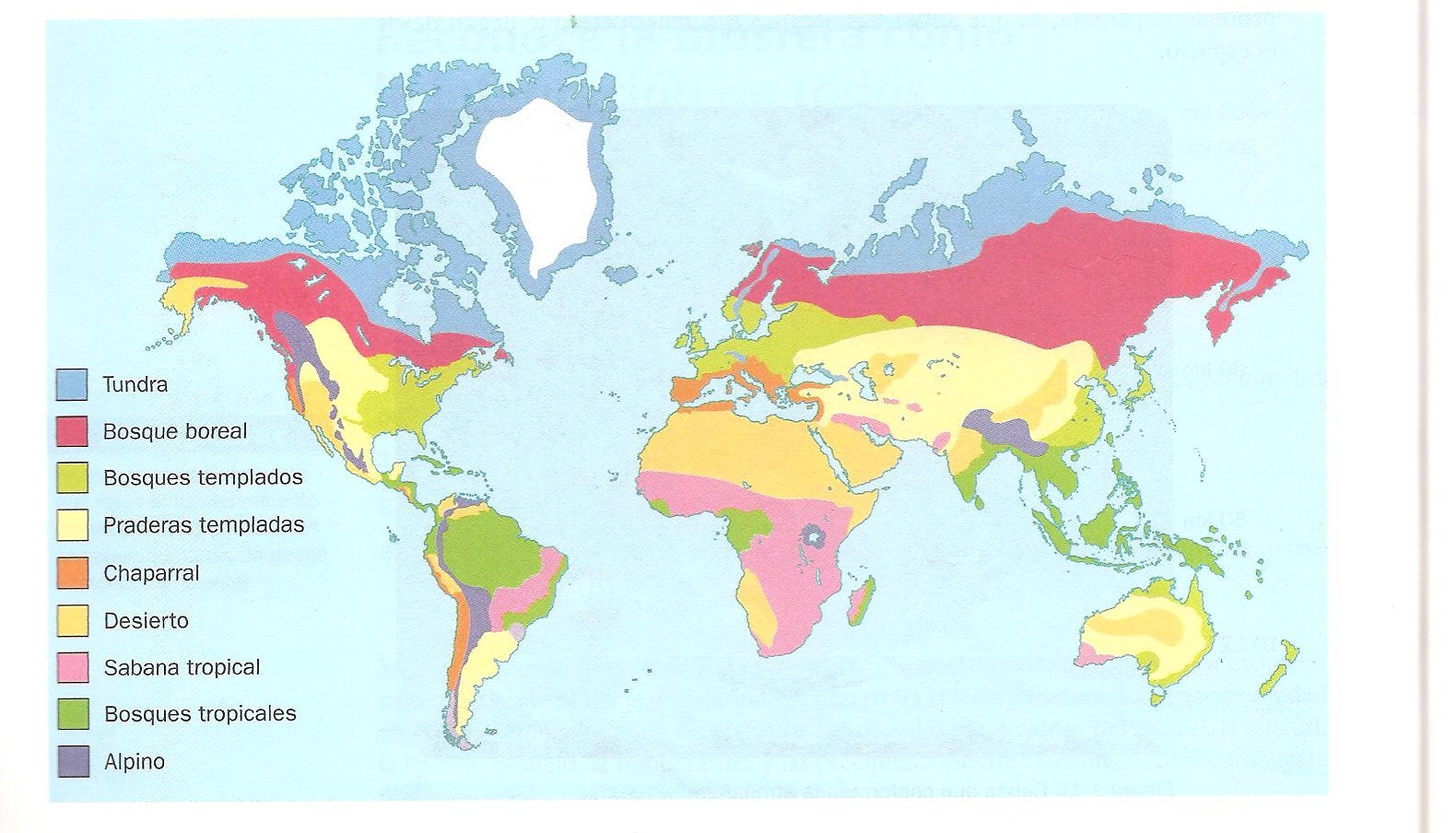 Planeta Verde: Biosfera