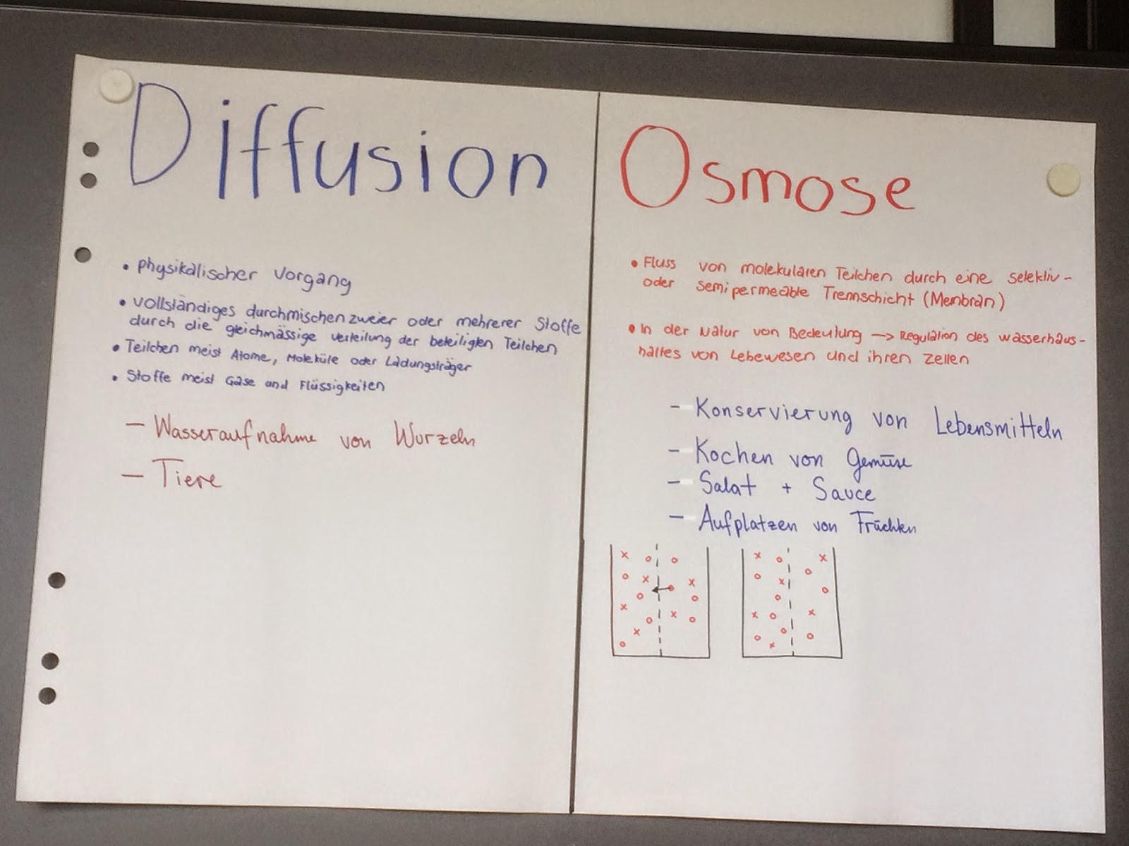 BIO-Praktikum zu Osmose und Diffusion: September 2014