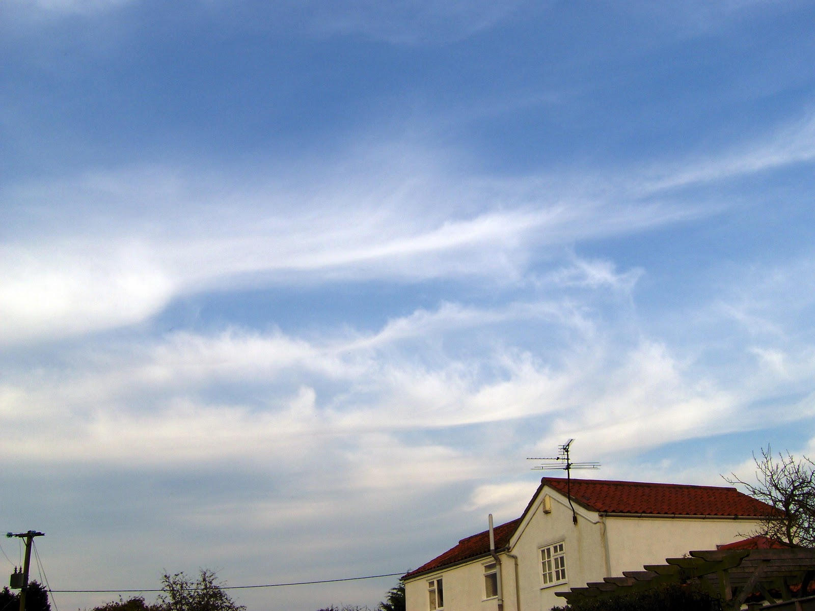 Jackie Cloud's Instagram, Twitter & Facebook on IDCrawl