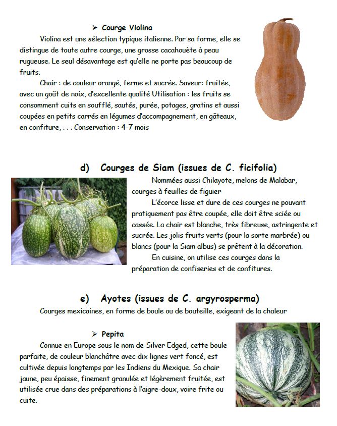 Breuillet Nature: Les courges