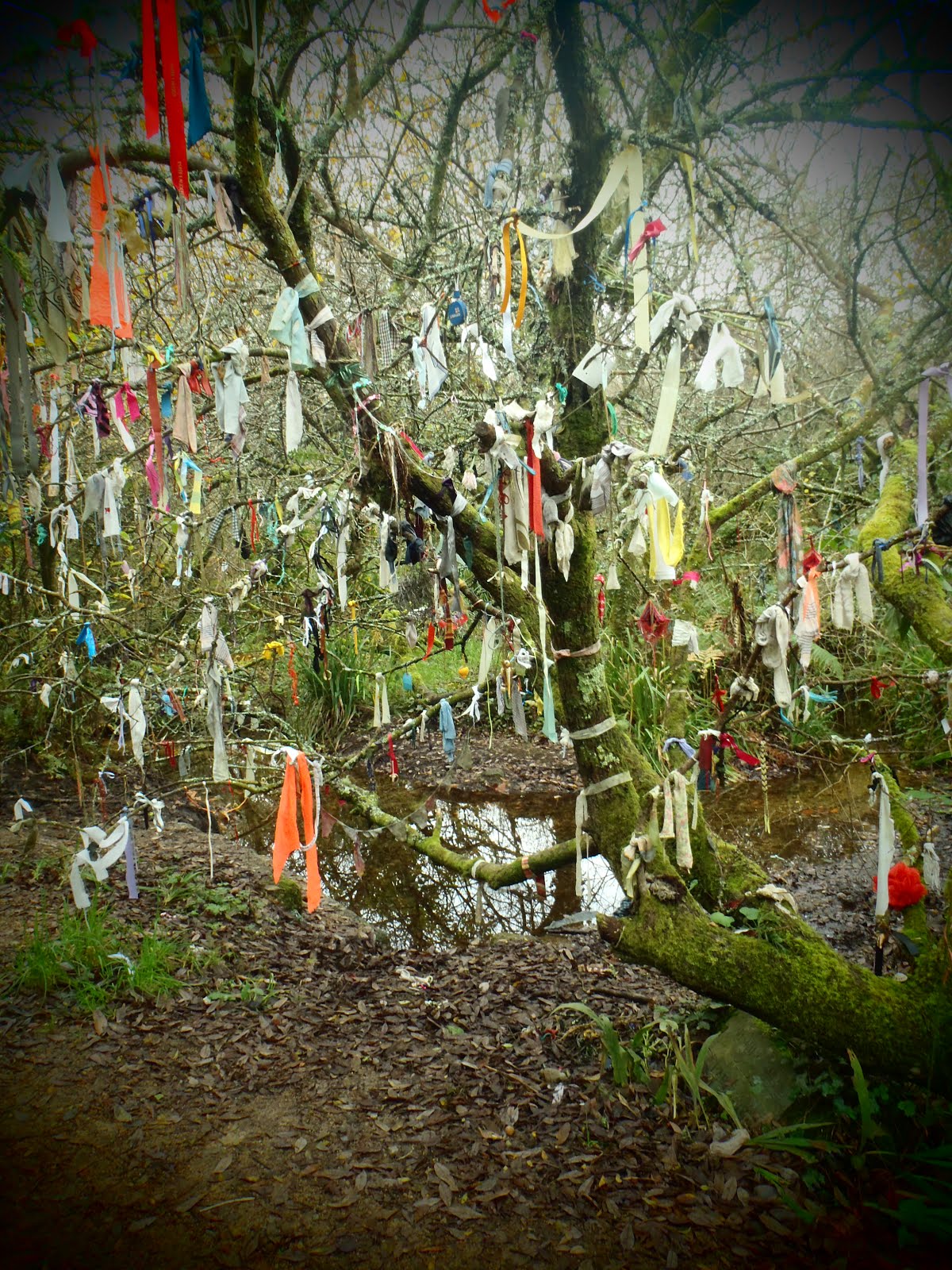 Tom's Britain: Visit Madron Holy Well