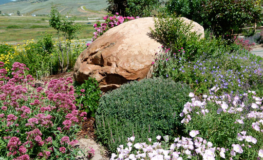 High Altitude Gardening: The Big Rock Garden