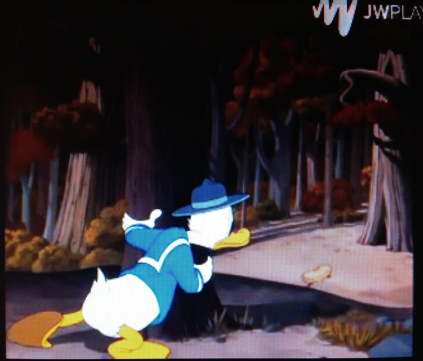 Erin's Blog: The reuse Animation of Donald Duck 2nd Time