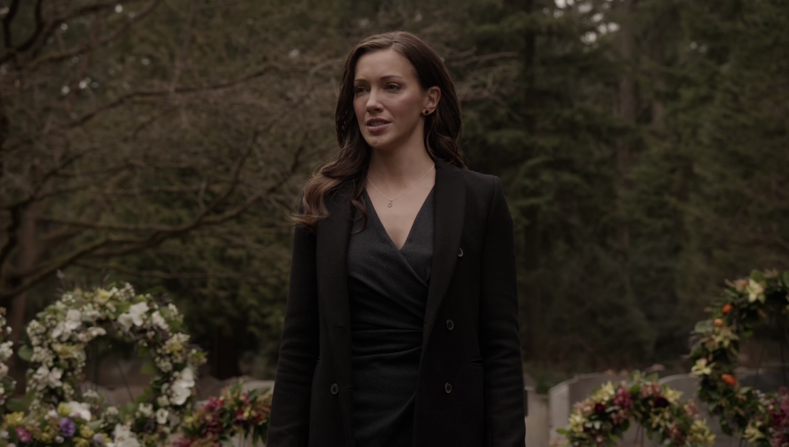 Arrow - Canary Cry - Review