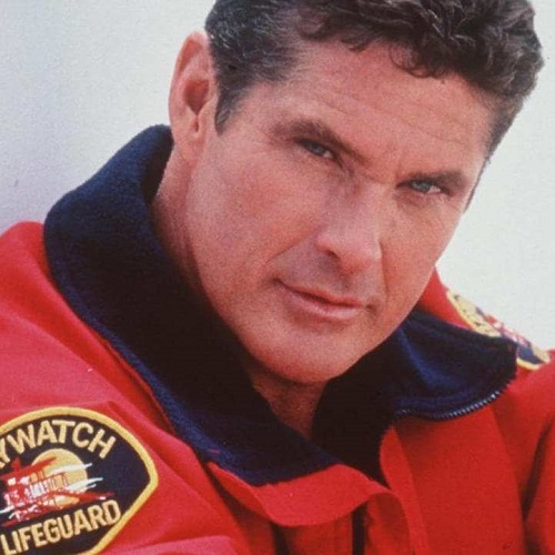 Mainstream Music Madness: David Hasselhoff - Discography