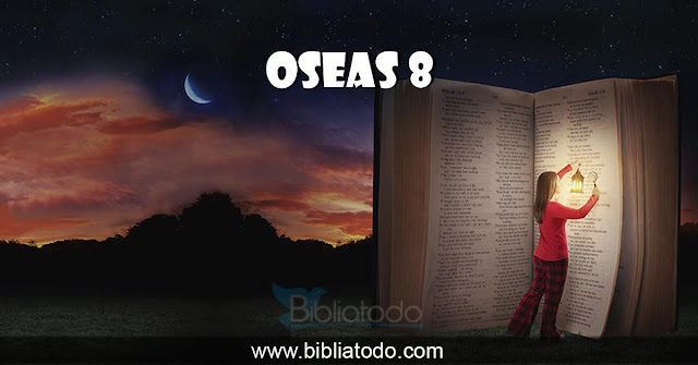 ANTOFAGASTA RELIGIOSA: LA BIBLIA: OSEAS 8