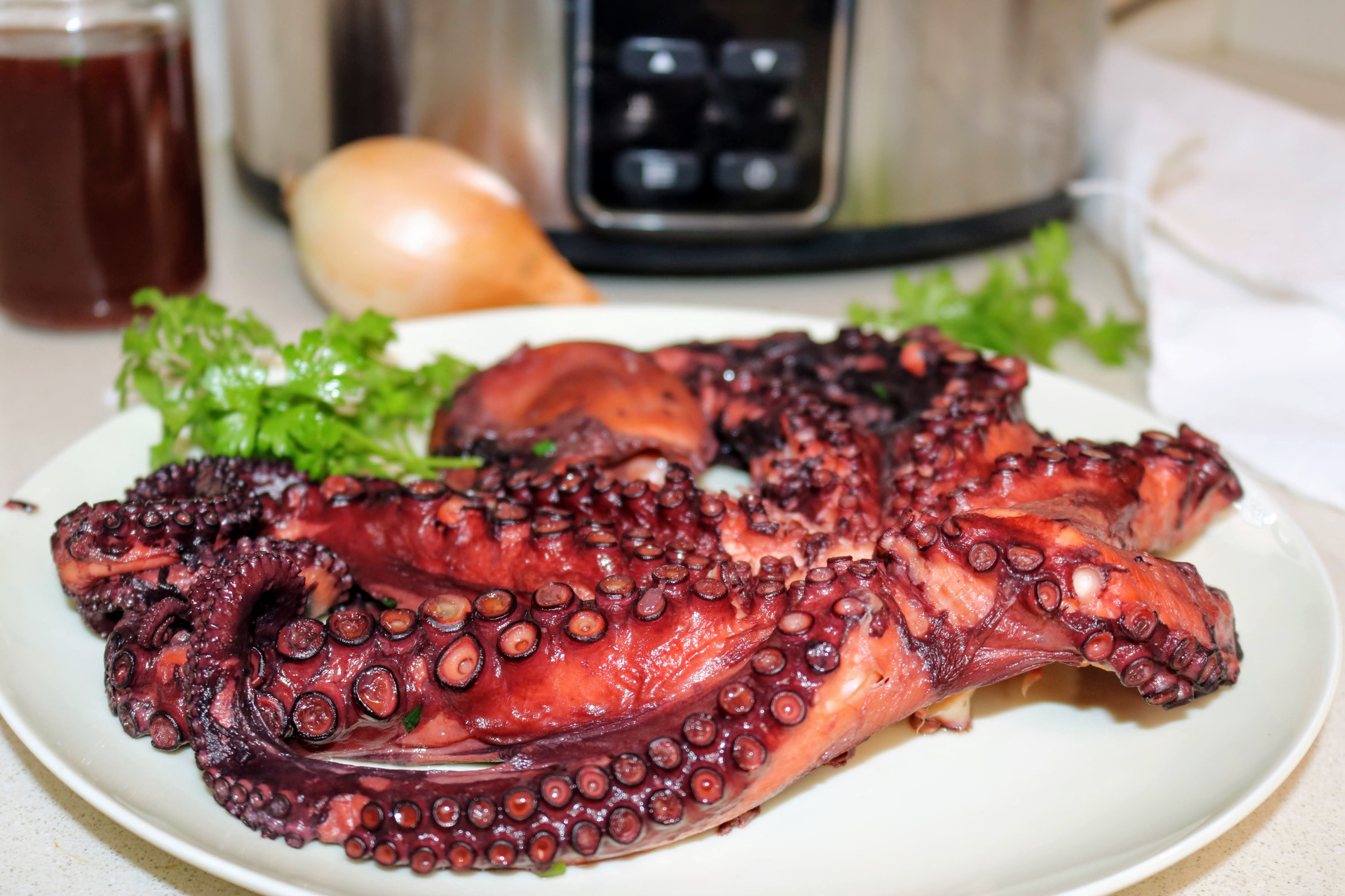 Polvo super tenro na slow cooker