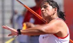 Armas y armaduras en España: Venablos