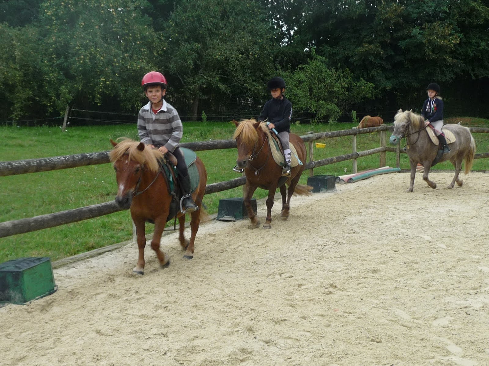 Poney Club d Alencon equitation