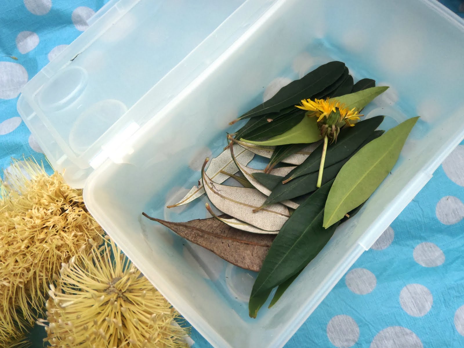 A Little Learning For Two: Threading Leaves