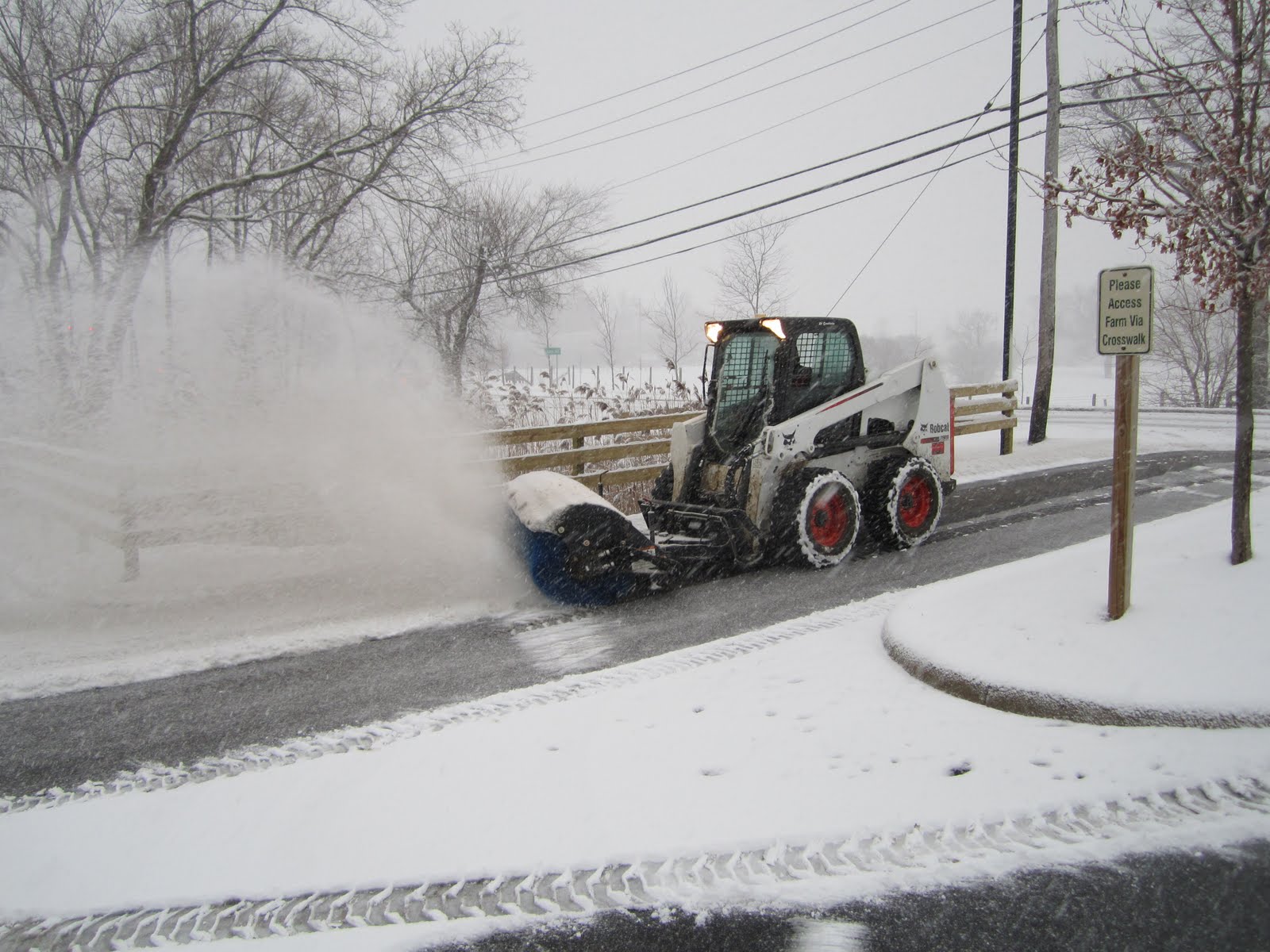 Wagner Feed: Snow Day!