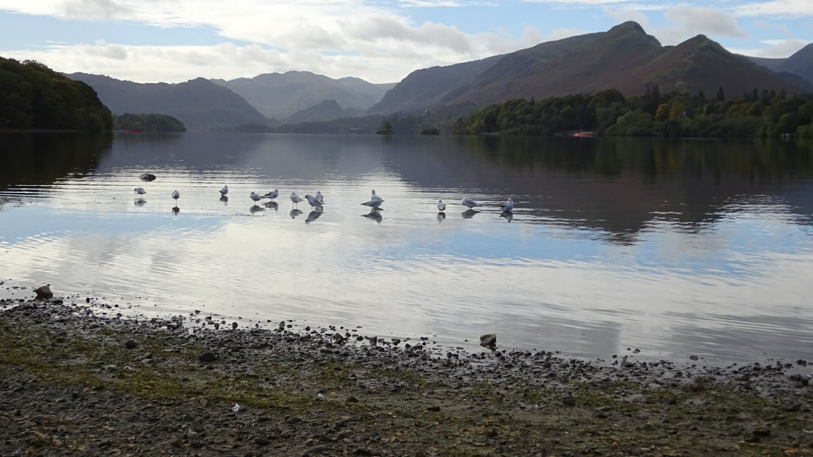 Ant and Kaye's travels with our AdriaTwin: Wainwright country....