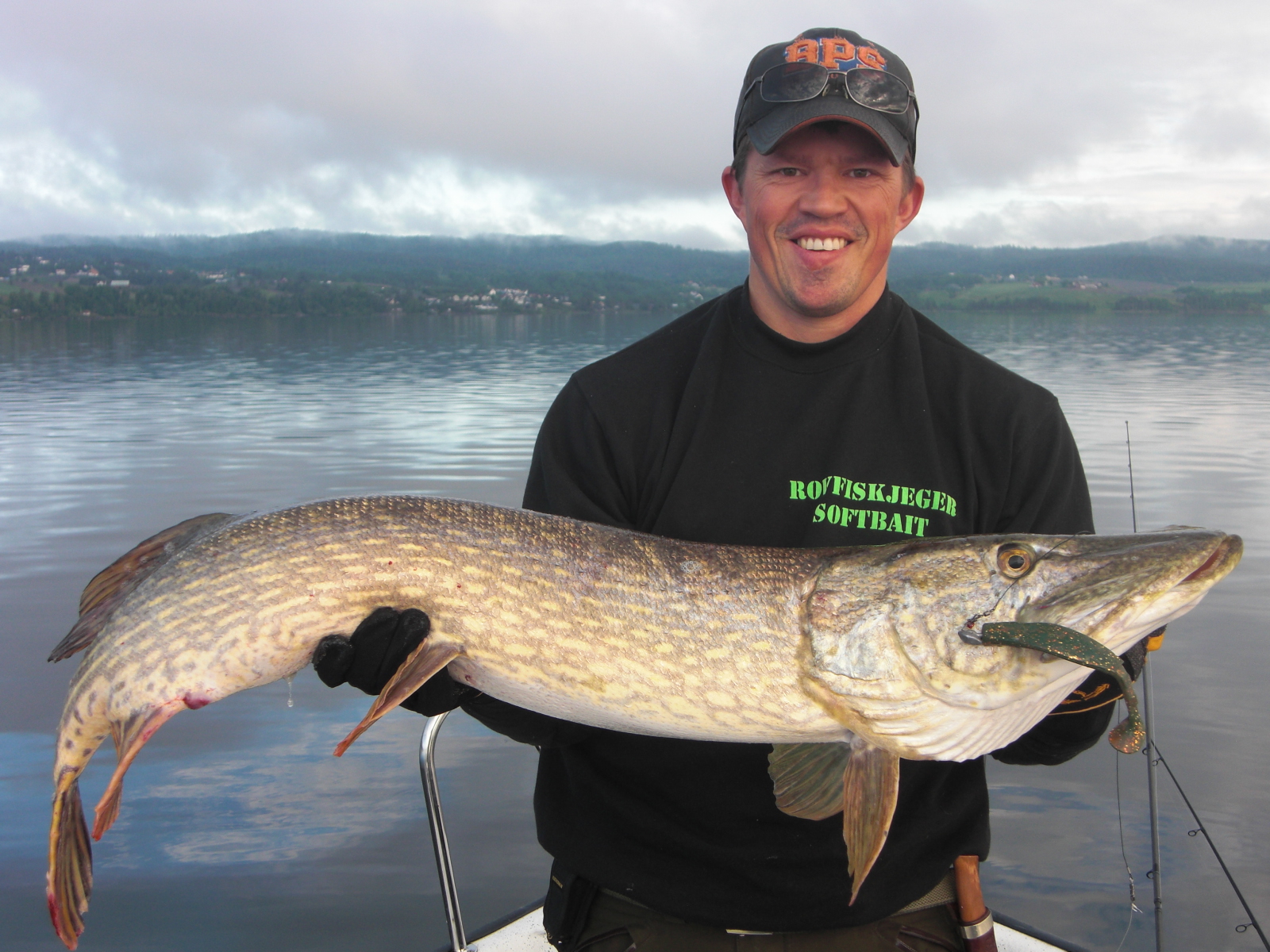 Rovfiskjeger: Kurs i gummi fisk. med båt på Øyeren.