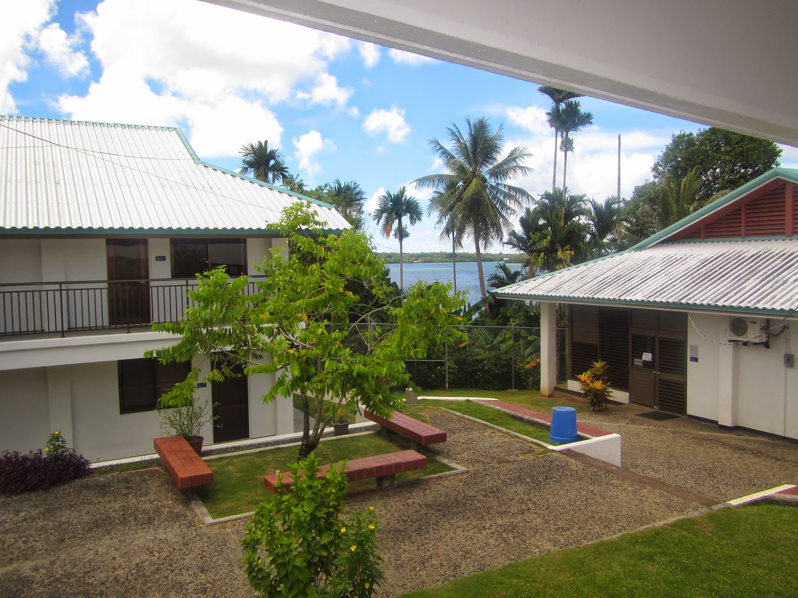 Yap Island and Dr. Rosemary: August 19,2014