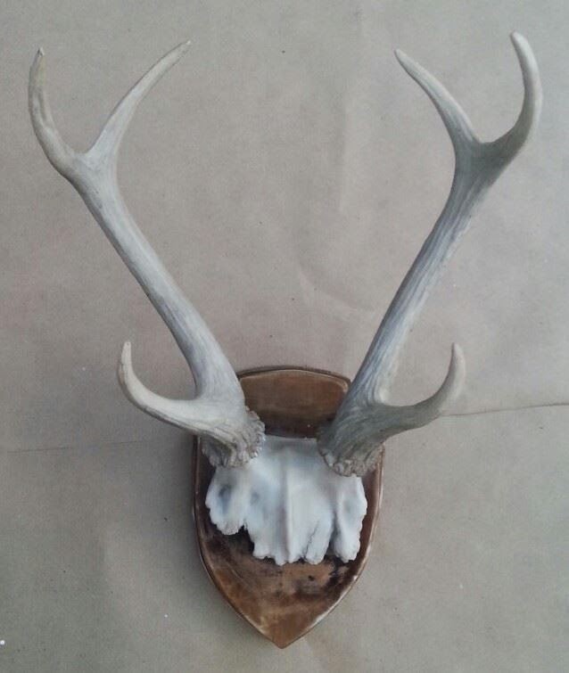 The Boho Bird: DIY Painted Deer Antlers - Cheap Chic!