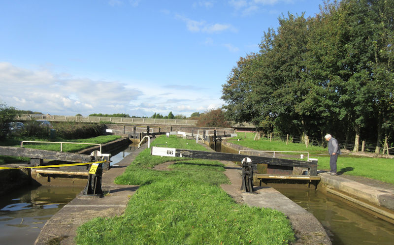 nb Alchemy: Rode Heath