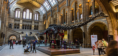 HG SCIENCE CORNER : Natural Science Museum, London