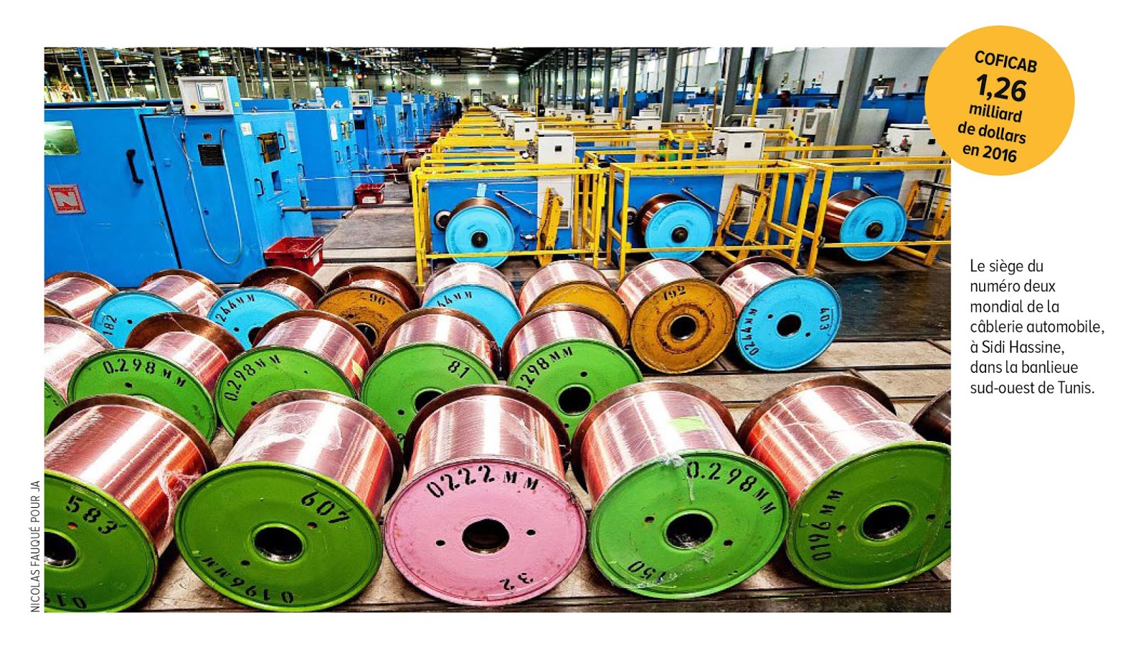 Intelligence économique Tunisie