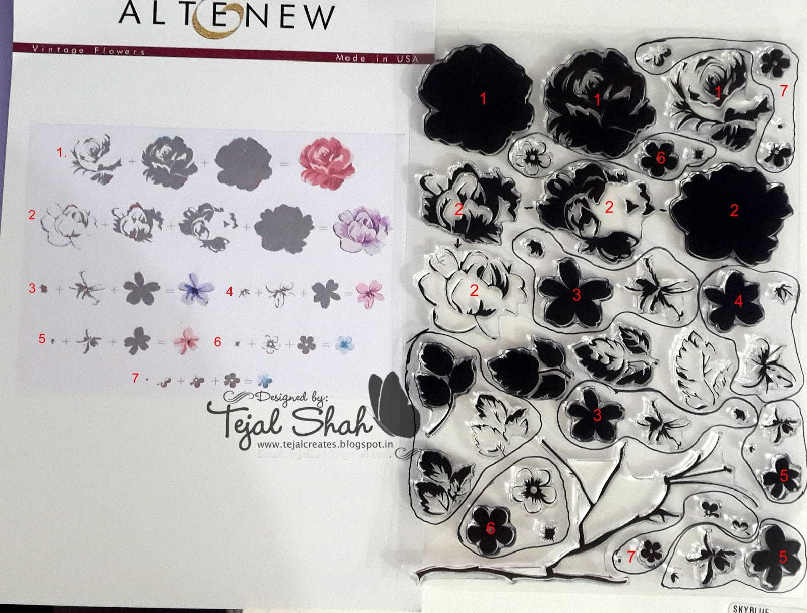 Creative Expressions: Stamping With Multi-Step stamps!