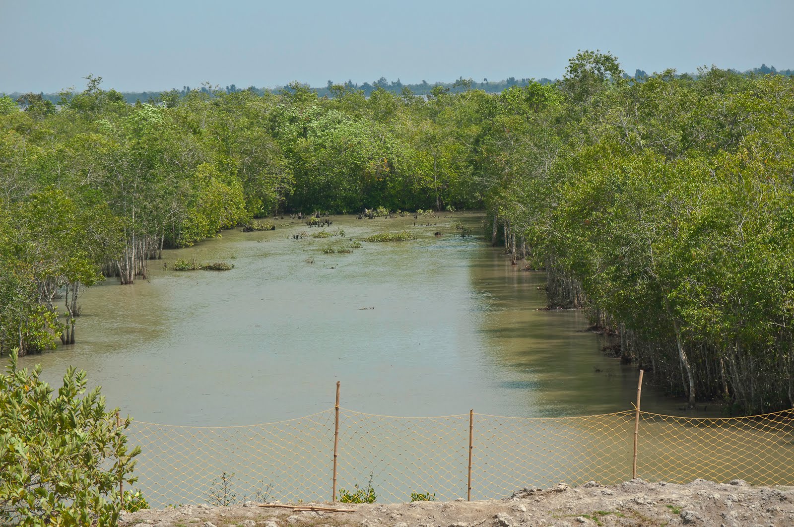 ALL ABOUT PHOTOGRAPHY: Sundarban: Nature's Calling......