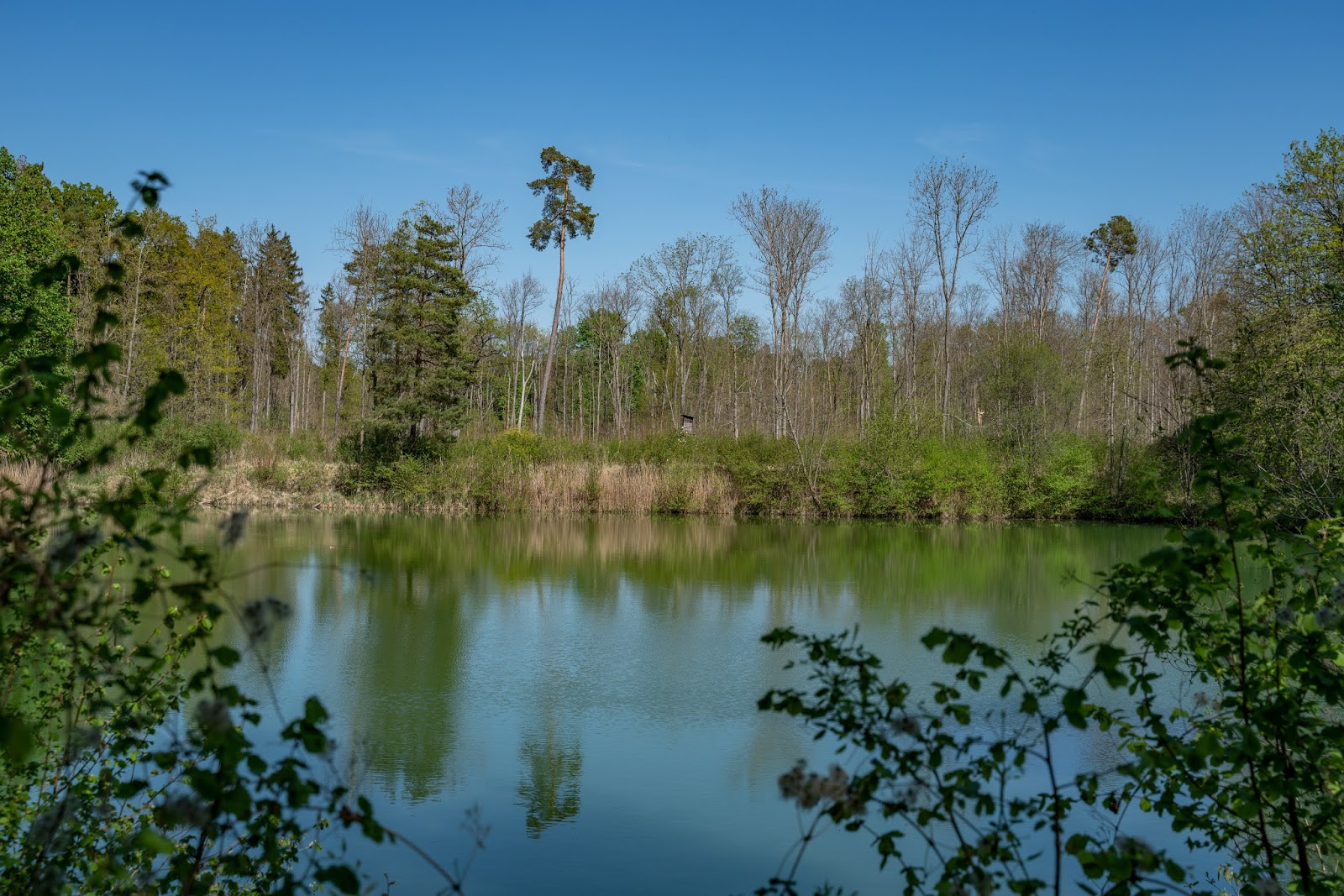 Premiumwanderweg DonAUwald | Etappe 2 von Offingen nach Gundelfingen