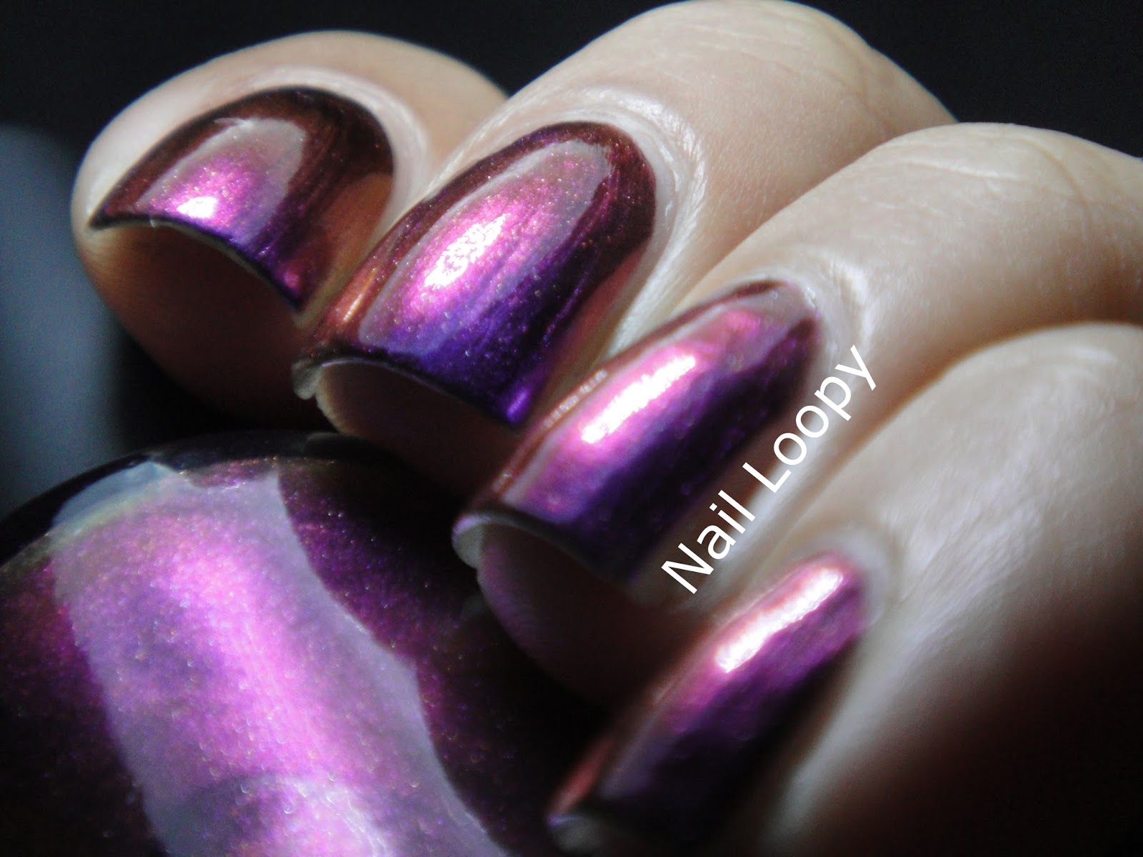 nail loopy: ILNP CYGNUS LOOP
