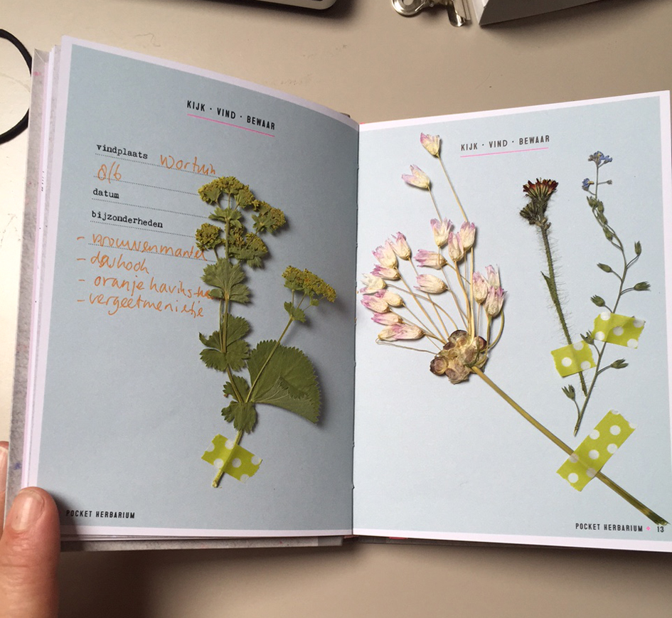 Wat maakt ze nu weer?: Herbarium 2