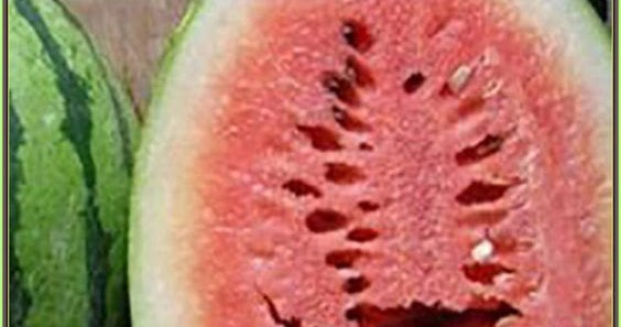 Do You Love Watermelons? If You See This Split Inside Watermelon Throw It Right Away! Here’s Why ...