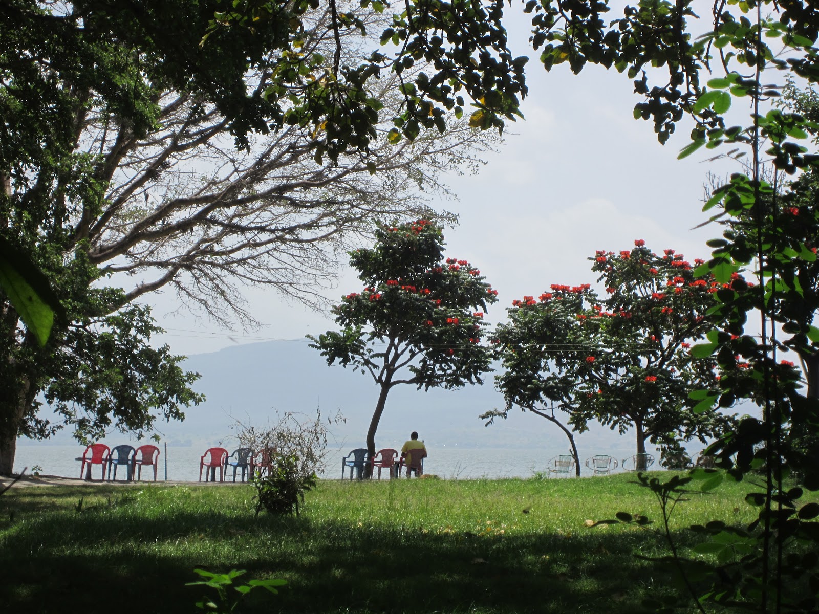 Discovering Addis: Awasa, Hawassa, Awassa