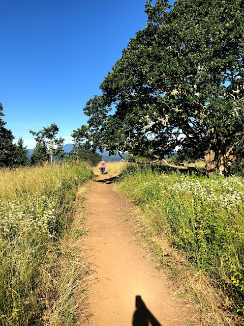 Running in Place.....and getting nowhere fast!