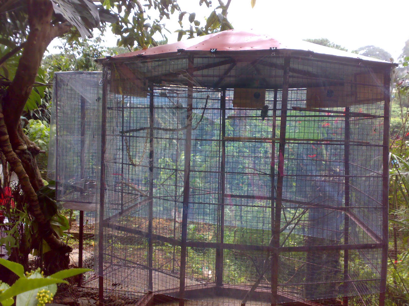 Making The Outdoor Aviary
