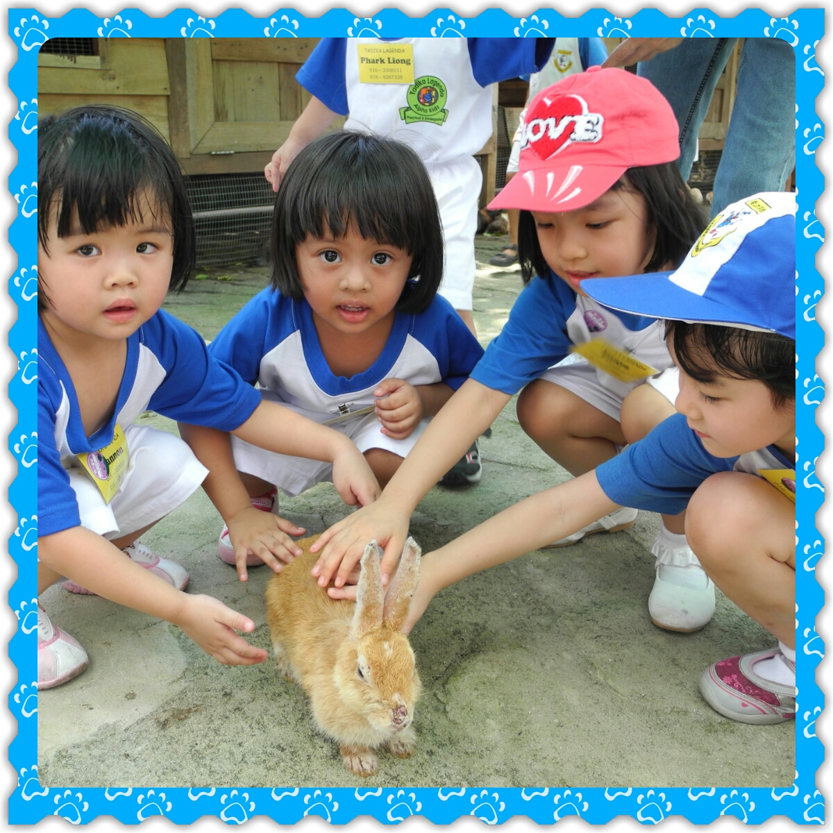 Creating A Winner In Every Child: 8. BUNNY RABBITS