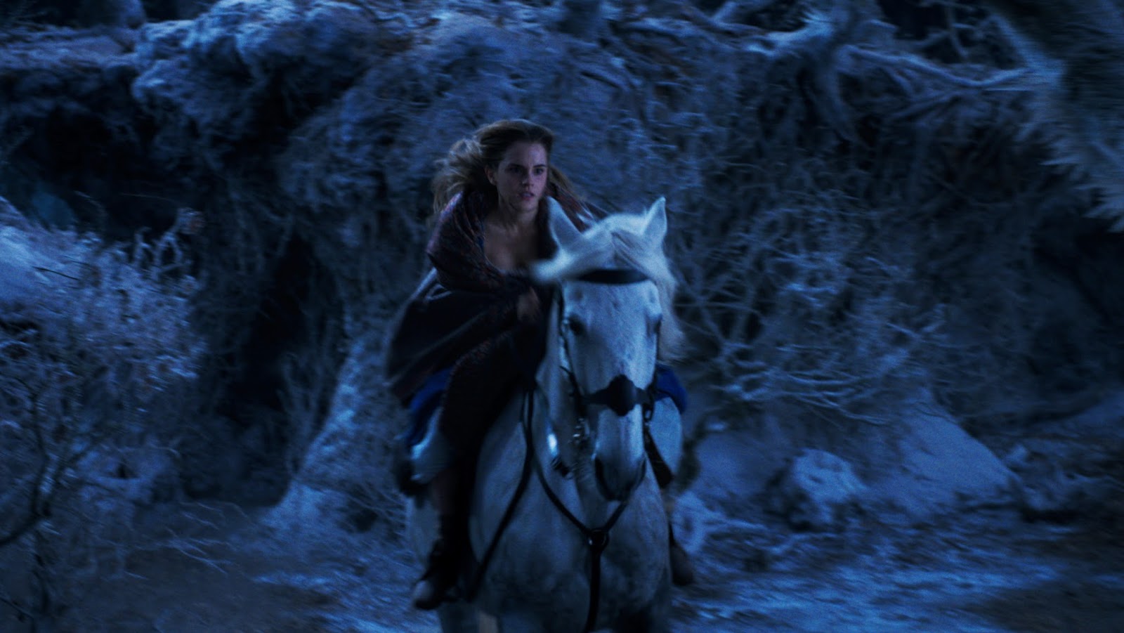 Beauty And The Beast Horse at Russell Chau blog