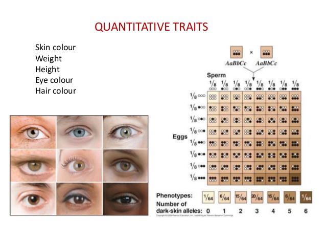 Genetics-Deviation-Mendelian-Inheritance | UKsir-notes | Genetics-4 ...