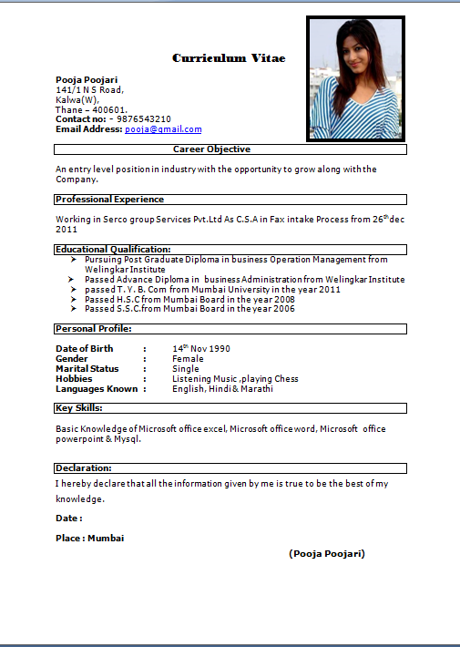 the example of curriculum vitae - Resume