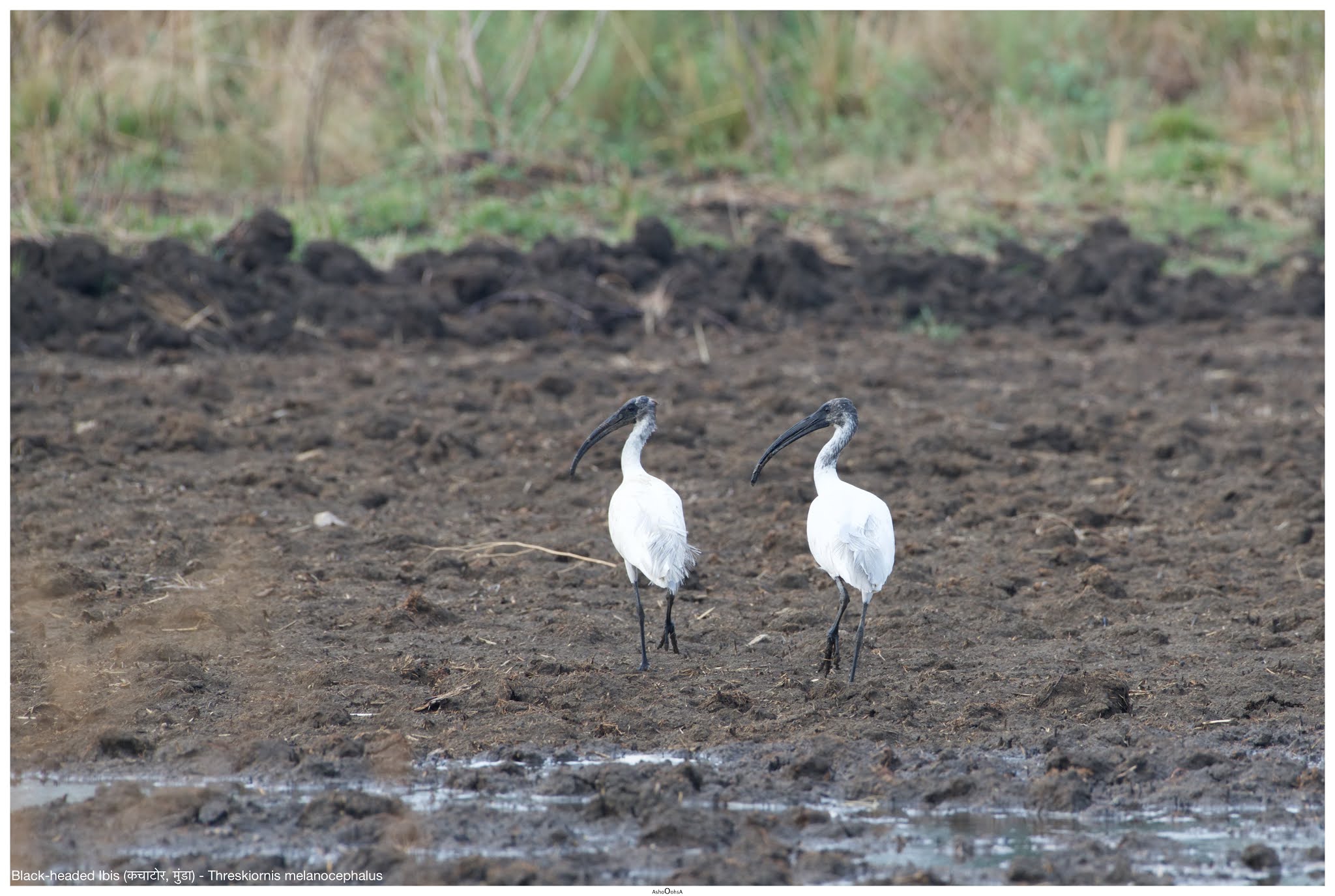 Taken on June 26, 2018