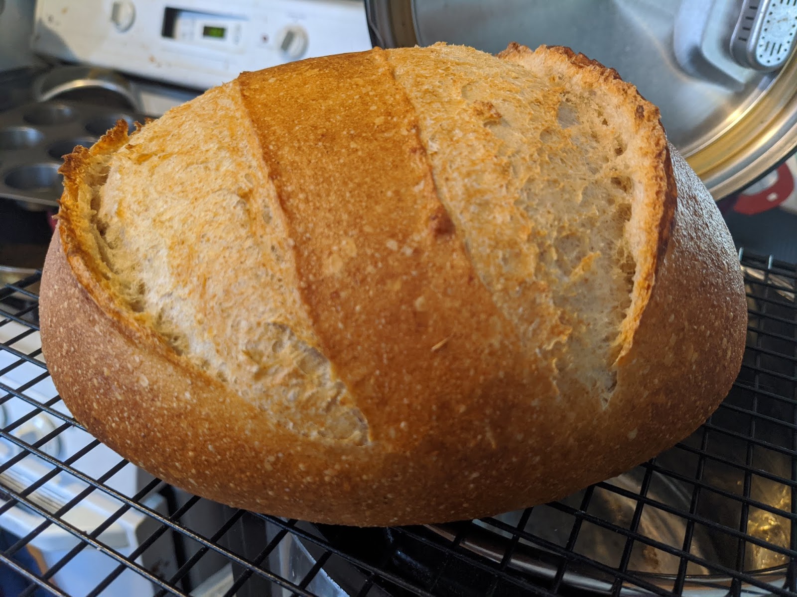 Sourdough versatility