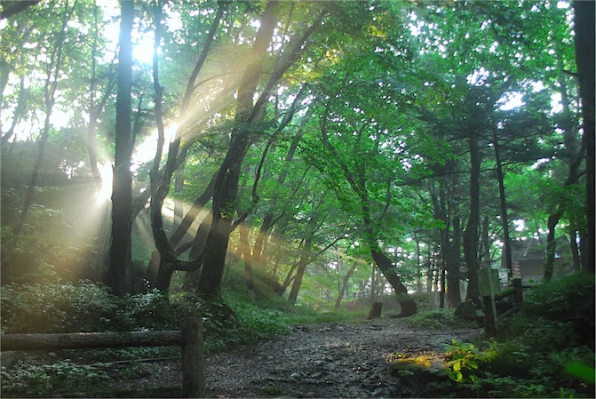 那須高原アルバム: 木ノ俣川 Kinomata-gawa