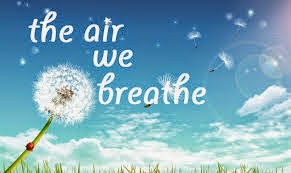 Mindful of the Everyday: Communication is as Important as the Air We ...