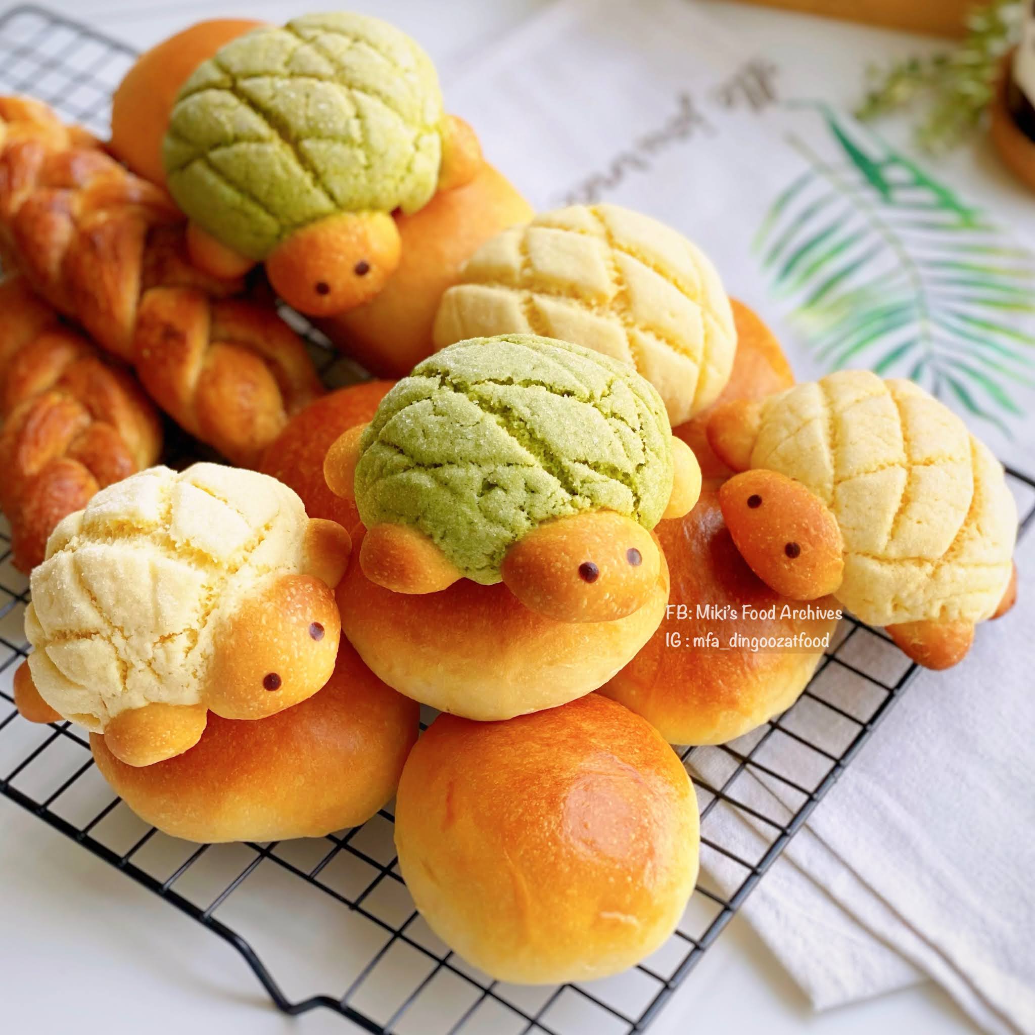 Miki's Food Archives : Cute Turtle Melon Pan 可爱小龟日式菠萝包【Plain & Matcha/ Green Tea】