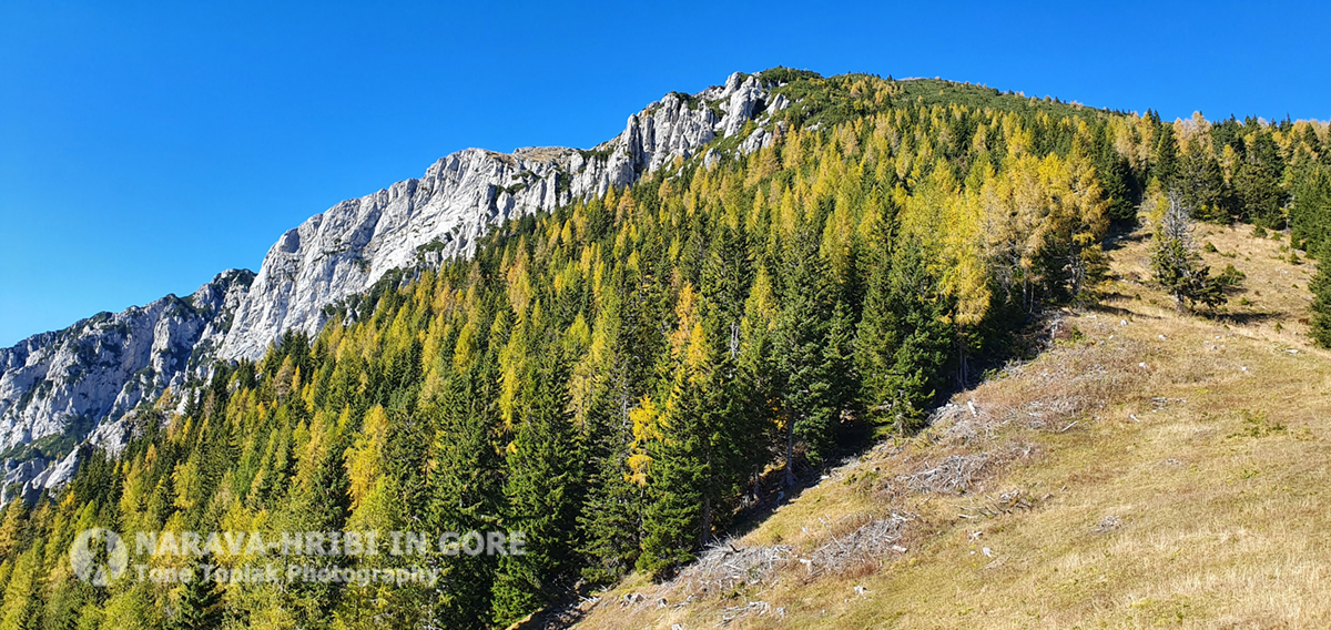 Narava hribi in gore: Peca in čudovit jesenski dan