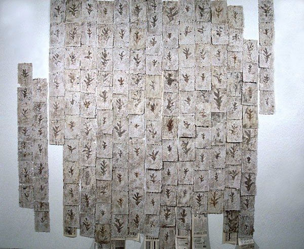 the art room plant: Cui Fei