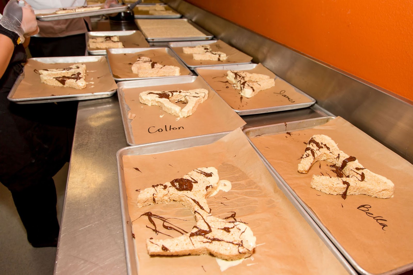 Everything You Need To Know About Great Wolf Lodge - THE PATRICIOS